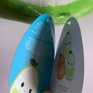 Squishmallows | Toys | Squishmallow Citrus Squad Set 5 Leticia Lemon ...